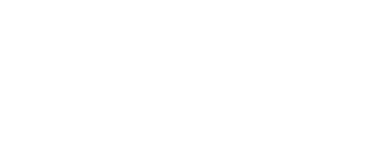 About Us – Gefion International